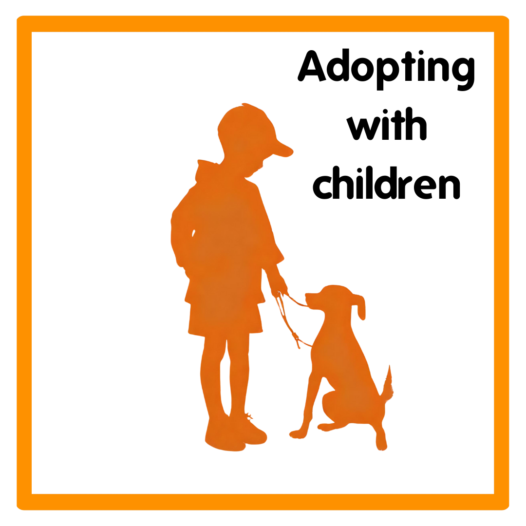 Adoption Dogs Landing Page - DSPCA