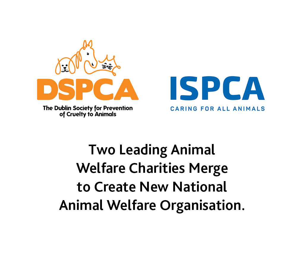 Two leading animal welfare charities merge to create new national animal welfare organisation ...